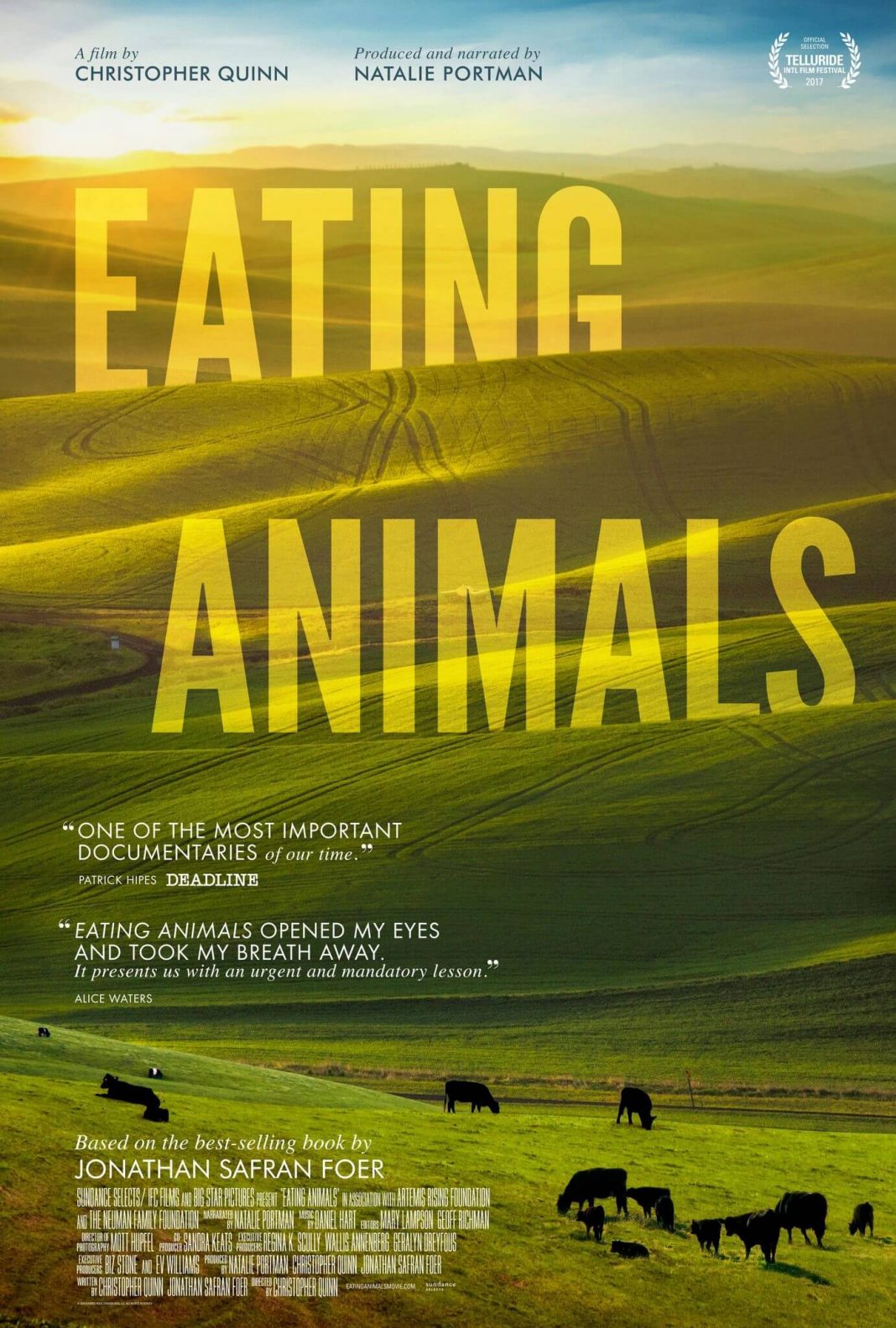 vegan rabbit eating animals – Vegan Rabbit